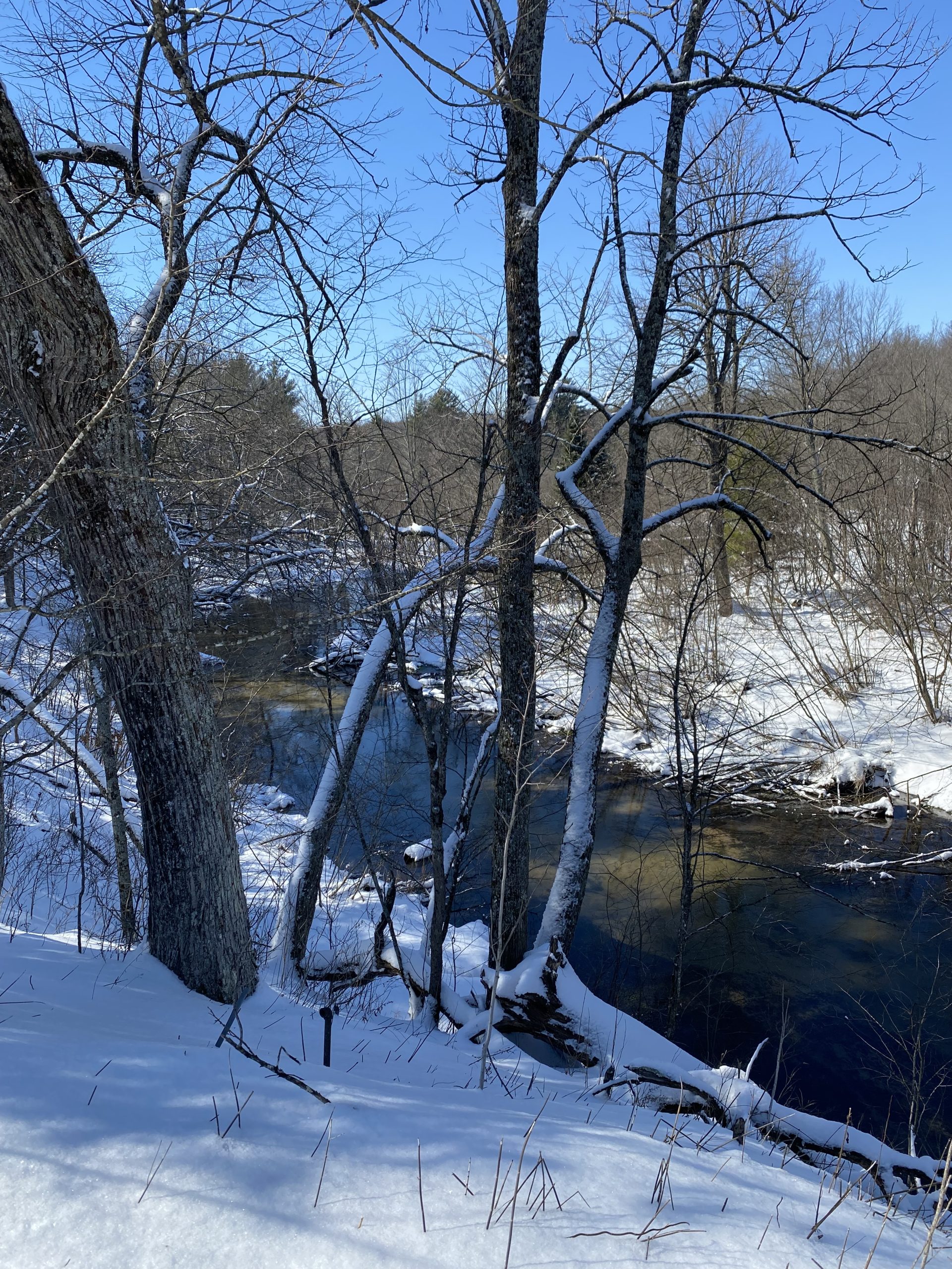 Gallery – Town of Easton